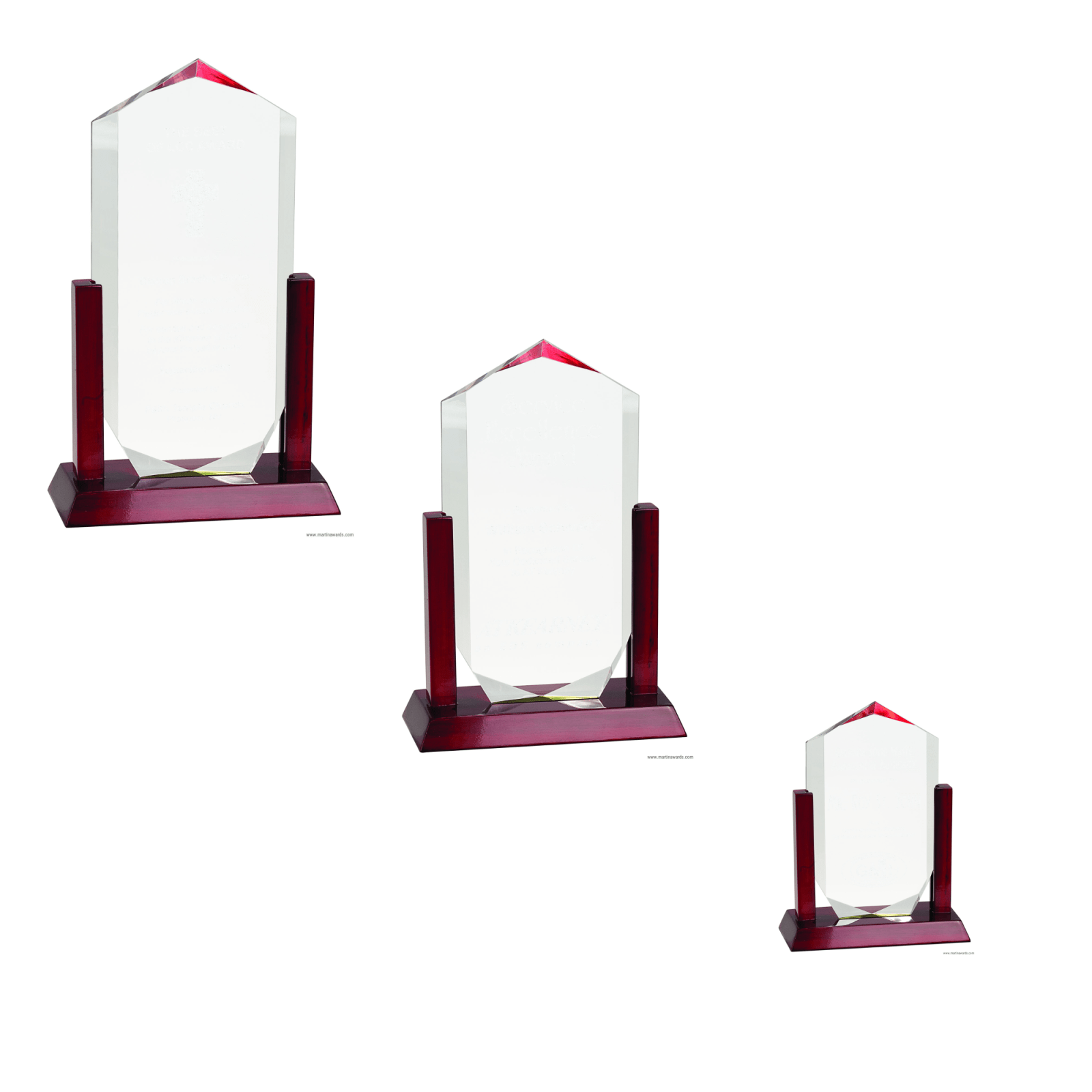 Royal Crown Acrylics - Martin Awards