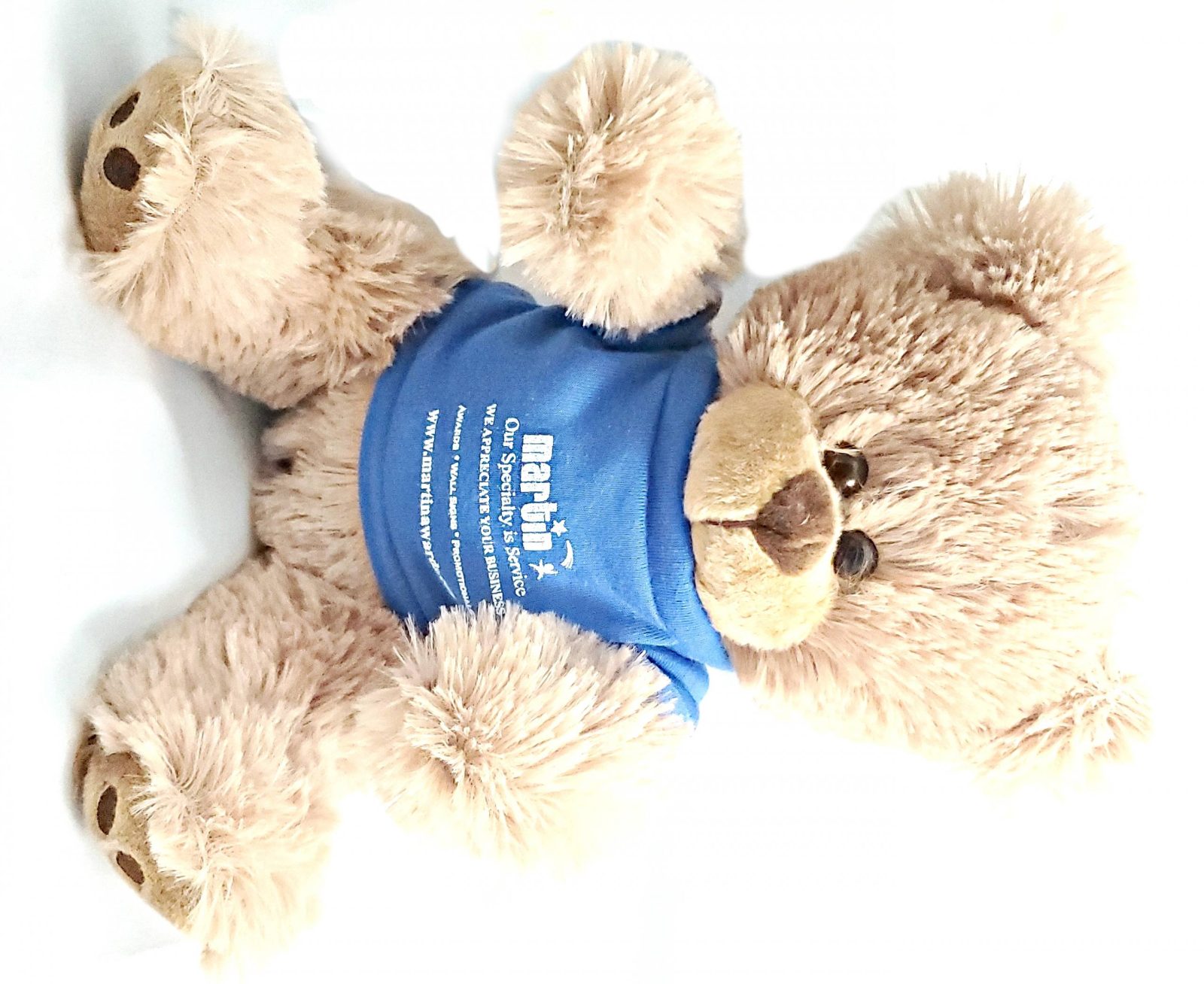 Teddy Bear Gift - Martin Awards